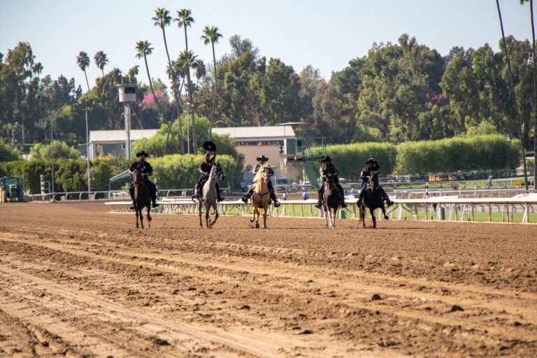 About Us - Compton Junior Equestrians